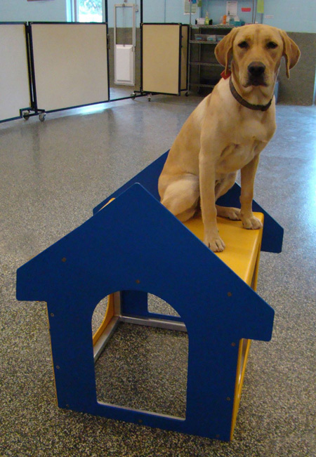 Dog House - Stone Mountain Pet Products