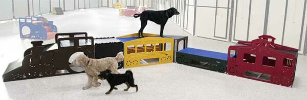 The Express Train - Stone Mountain Pet Products