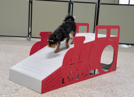Train Engine Ramp - Stone Mountain Pet Products