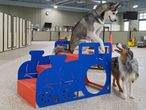Train Engine Stair - Stone Mountain Pet Products