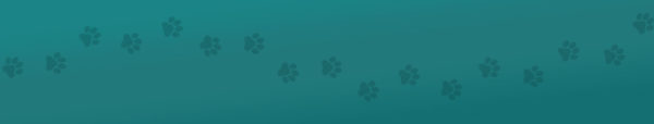 All Products - Stone Mountain Pet Products