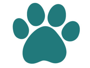 All Products - Stone Mountain Pet Products